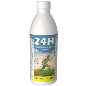 24H (Quizalofop ethyl 10% EC) - Global Crop Care